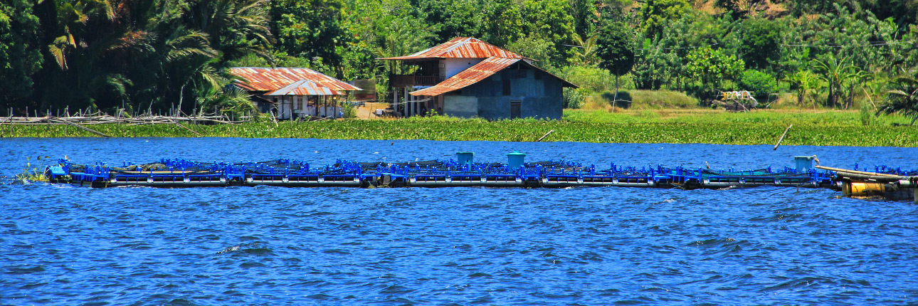 Danau Tondano, Terluas di Sulawesi Utara - Indonesia Kaya