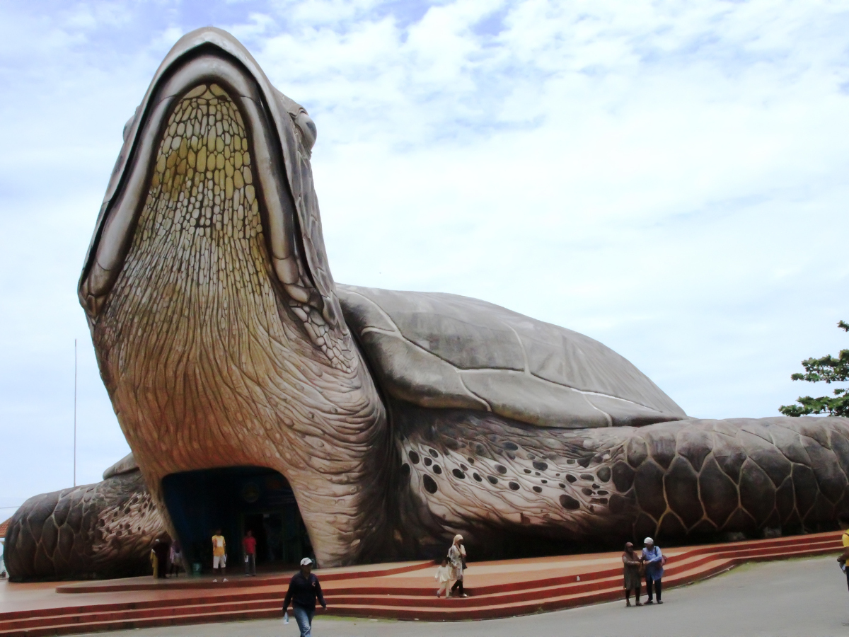 Kura-kura Raksasa Ocean Park Jepara - Indonesia Kaya