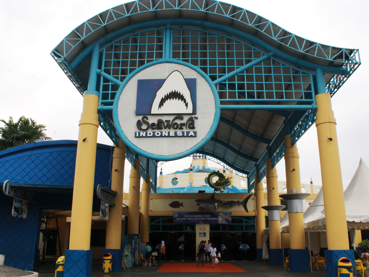 Menyelami Dunia Bawah Laut di Sea World Indonesia - Indonesia Kaya