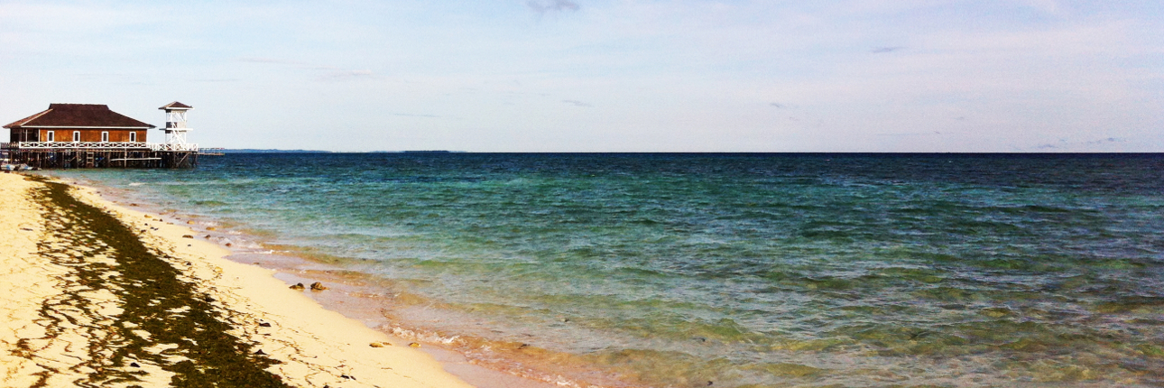 Menyelami Keindahan Surga Bawah Laut di Kepulauan Derawan - Indonesia Kaya