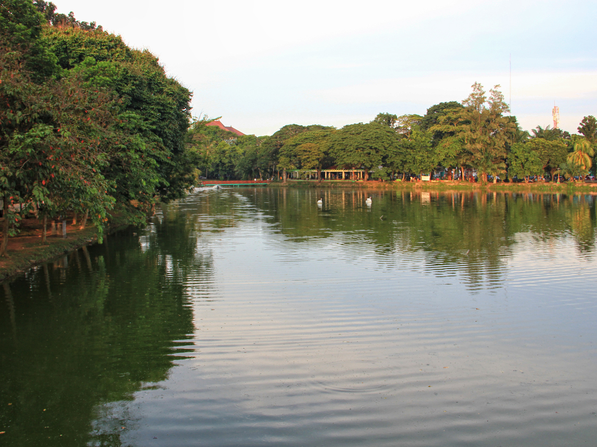 Taman Kambang Iwak, Ruang Hijau Favorit Warga Palembang - Indonesia Kaya Taman Kambang Iwak, Ruang Hijau Favorit Warga Palembang - Indonesia Kaya