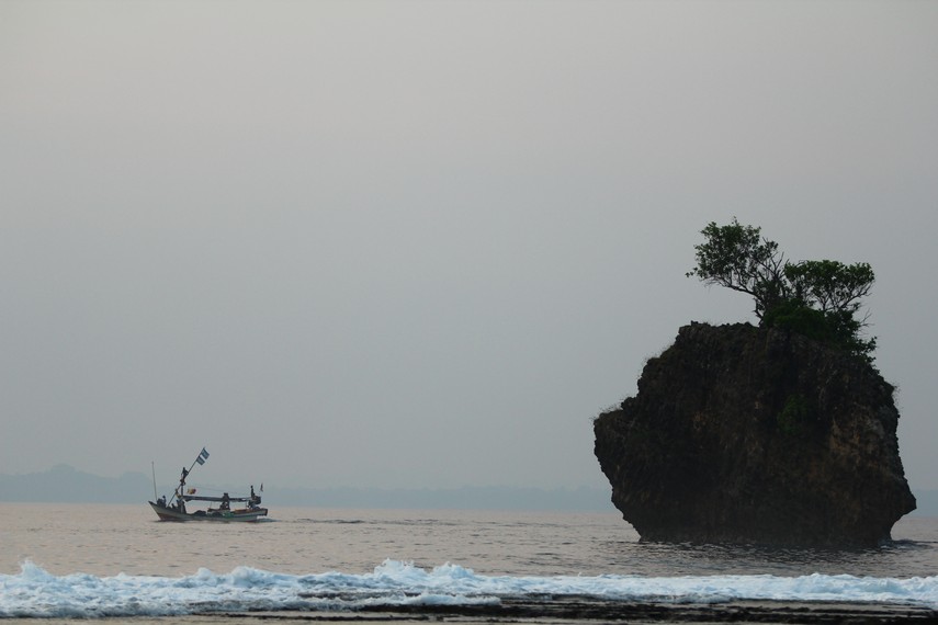 Karang Copong, Keindahan Panorama di Pulau Peucang - Indonesia Kaya