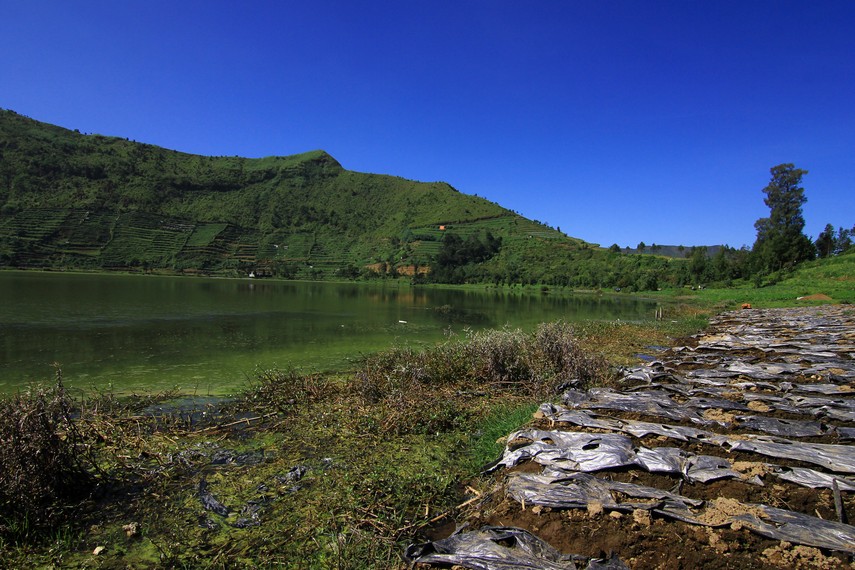 Telaga Merdada, Telaga Terluas di Dieng - Indonesia Kaya